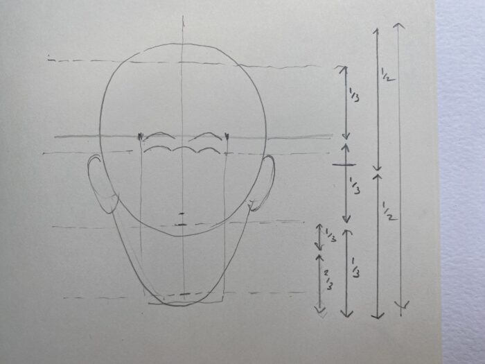 How to Draw the Human Face
